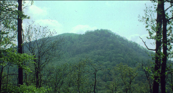 2x 16 May 98 Springer Mountain View Appalachian Trail Georgia