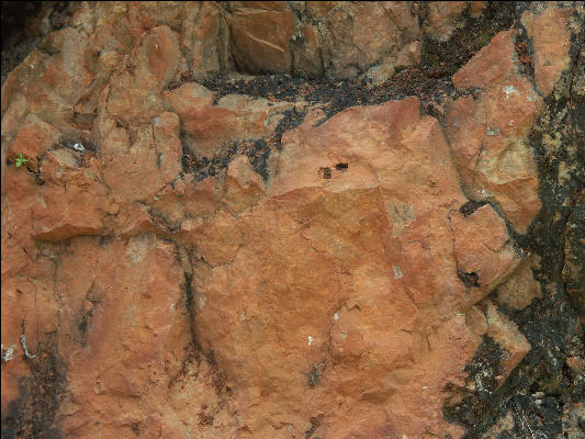 Bauxite In The Limestone Barbeque Bottom Cockpit Country Jamaica
