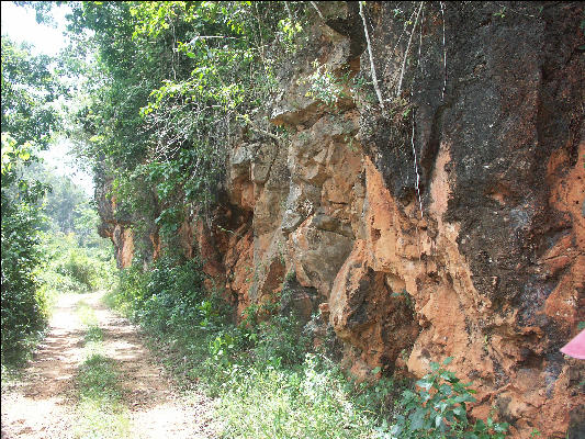 Bauxite In The Limestone Barbeque Bottom Cockpit Country Jamaica